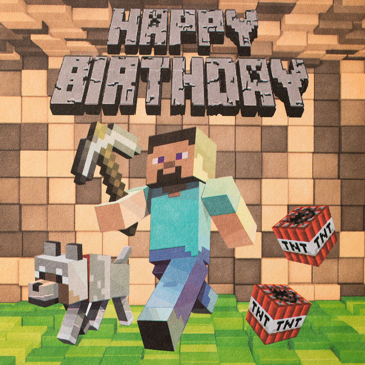 Minecraft Steve Birthday Minecraft Steve Birthday Cake: This Was